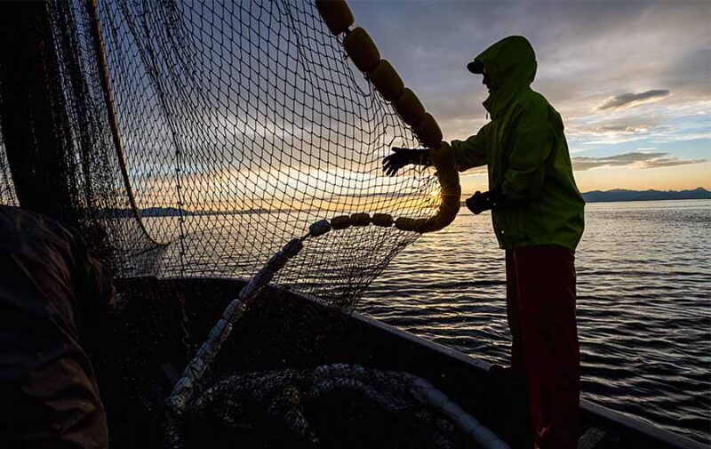 Meet the Easiest Fish Marinade - Rubio’s Coastal Grill